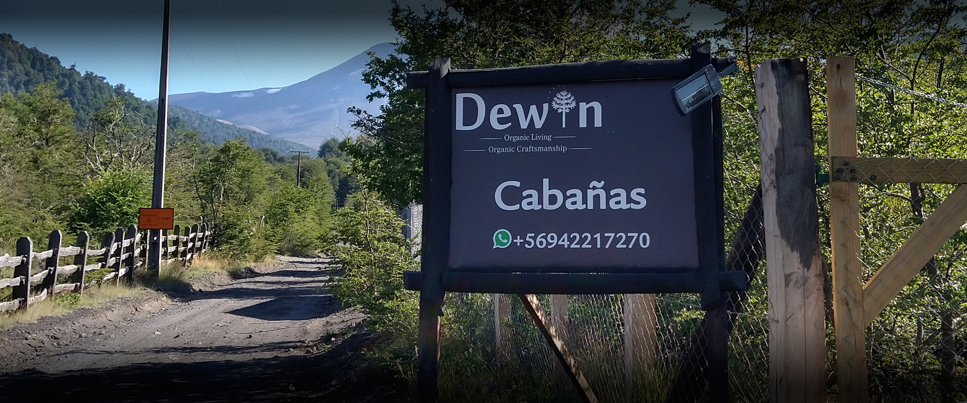 DEWIN® Organic Living - DEWIN® Organic Living